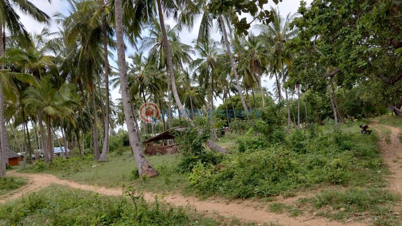 Land For Sale Ocean Front Watamu Kilifi (PID: 9PAPQA) | Private Property