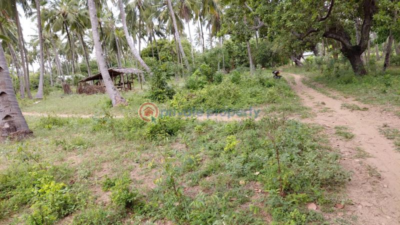 Land For Sale Ocean Front Watamu Kilifi (PID: 9PAPQA) | Private Property