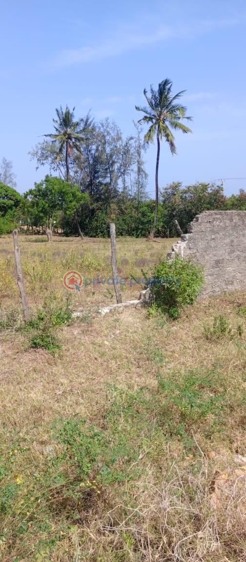 Land For Sale Takaungu Kibarani Kilifi (PID: 3PAPQD) | Private Property