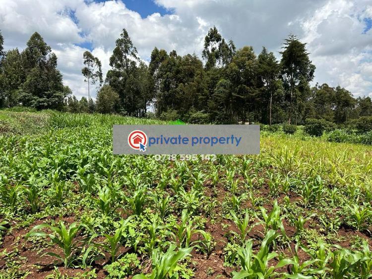 Residential Land For Sale rironi Limuru East Kiambu (PID: 1PADHR ...