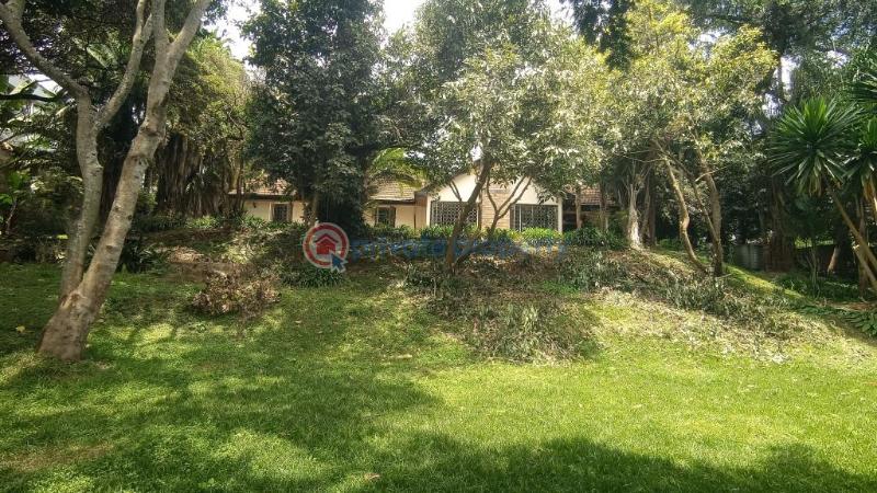 4 bedroom House For Sale Kyuna Estate westlands Nairobi (PID: 3PANUK ...