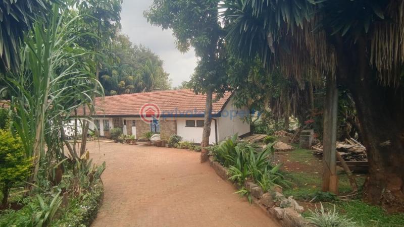 4 bedroom House For Sale Kyuna Estate westlands Nairobi (PID: 3PANUK ...