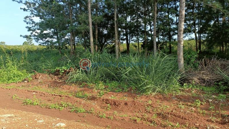 Land For Sale Bahati Ridge Thika Kiambu (PID: 3PAEGU) | Private Property