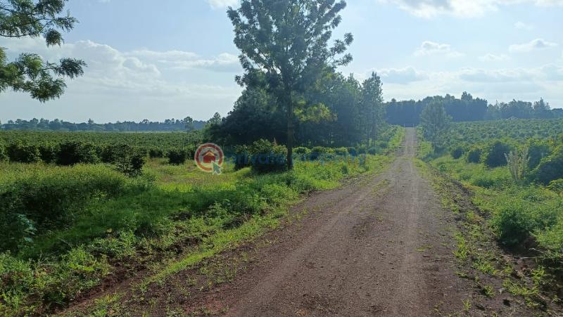 Land For Sale Bahati Ridge Thika Kiambu (PID: 3PAEGU) | Private Property