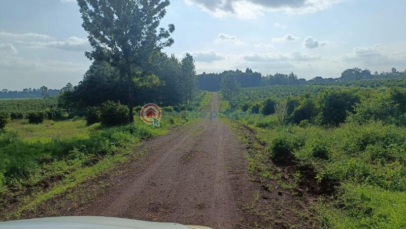 Land For Sale Bahati Ridge Thika Kiambu (PID: 3PAEGU) | Private Property