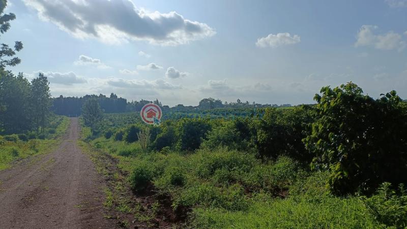Land For Sale Bahati Ridge Thika Kiambu (PID: 3PAEGU) | Private Property