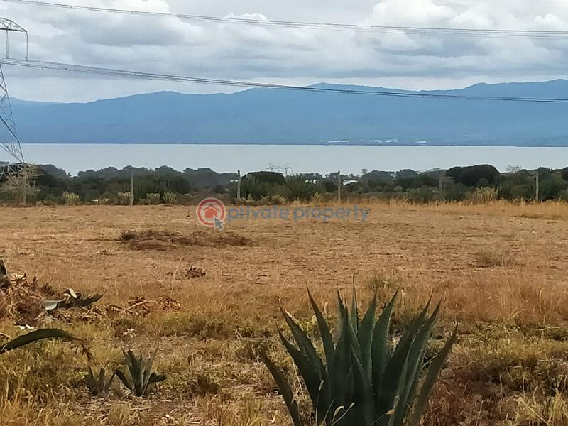 Land For Sale Naivasha Moi South Lake Rd Naiavsha Naivasha East Nakuru ...