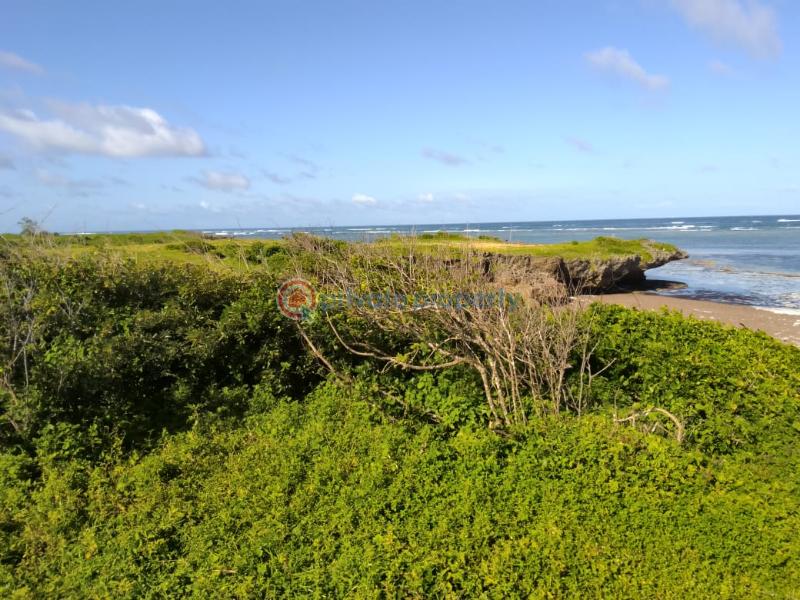 Land For Sale Tezo Kilifi (PID: 8PAPLZ) | Private Property