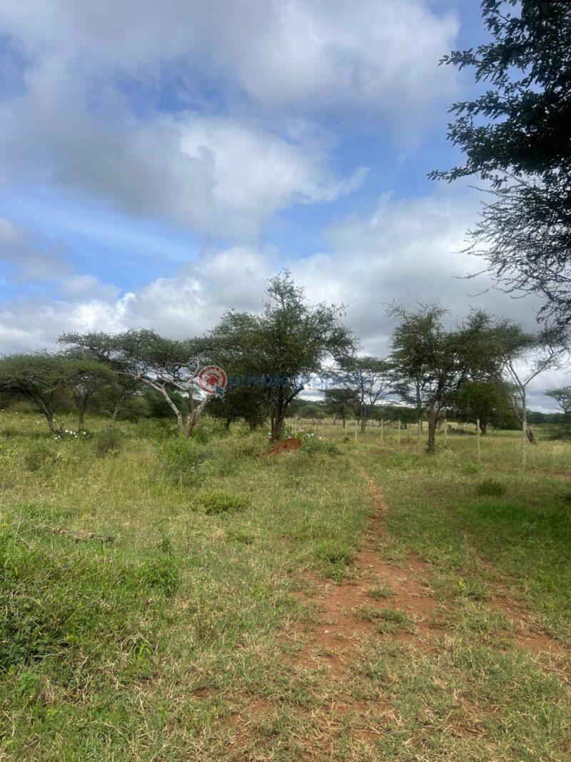 Land For Sale Ngatataek Namanga Road Kitengela Kajiado (PID: 7PANKM ...