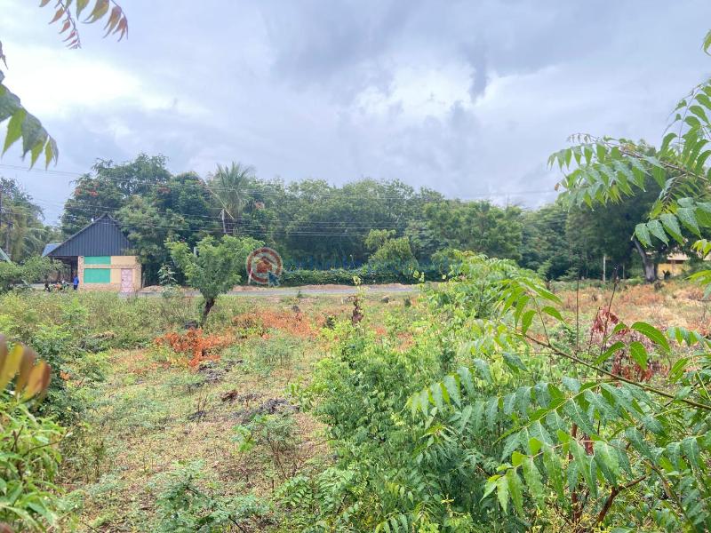 Land For Sale Bofa Beach, Bofa Road Bofa Beach Sokoni Kilifi (PID ...
