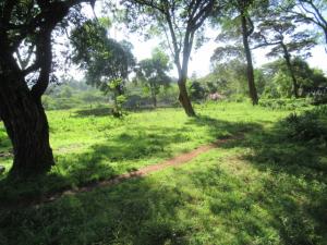 Land For Sale in Nairobi (816 Listed) | Private Property